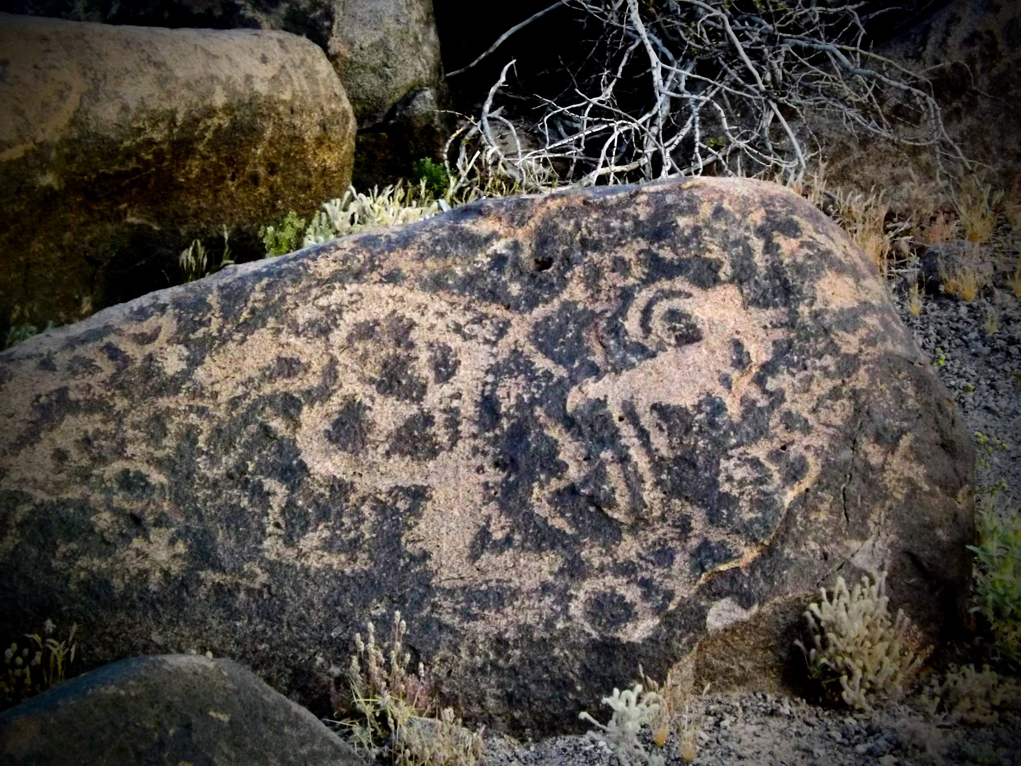 Painted Rock Petroglyph Site preserves messages from ancestral people ...