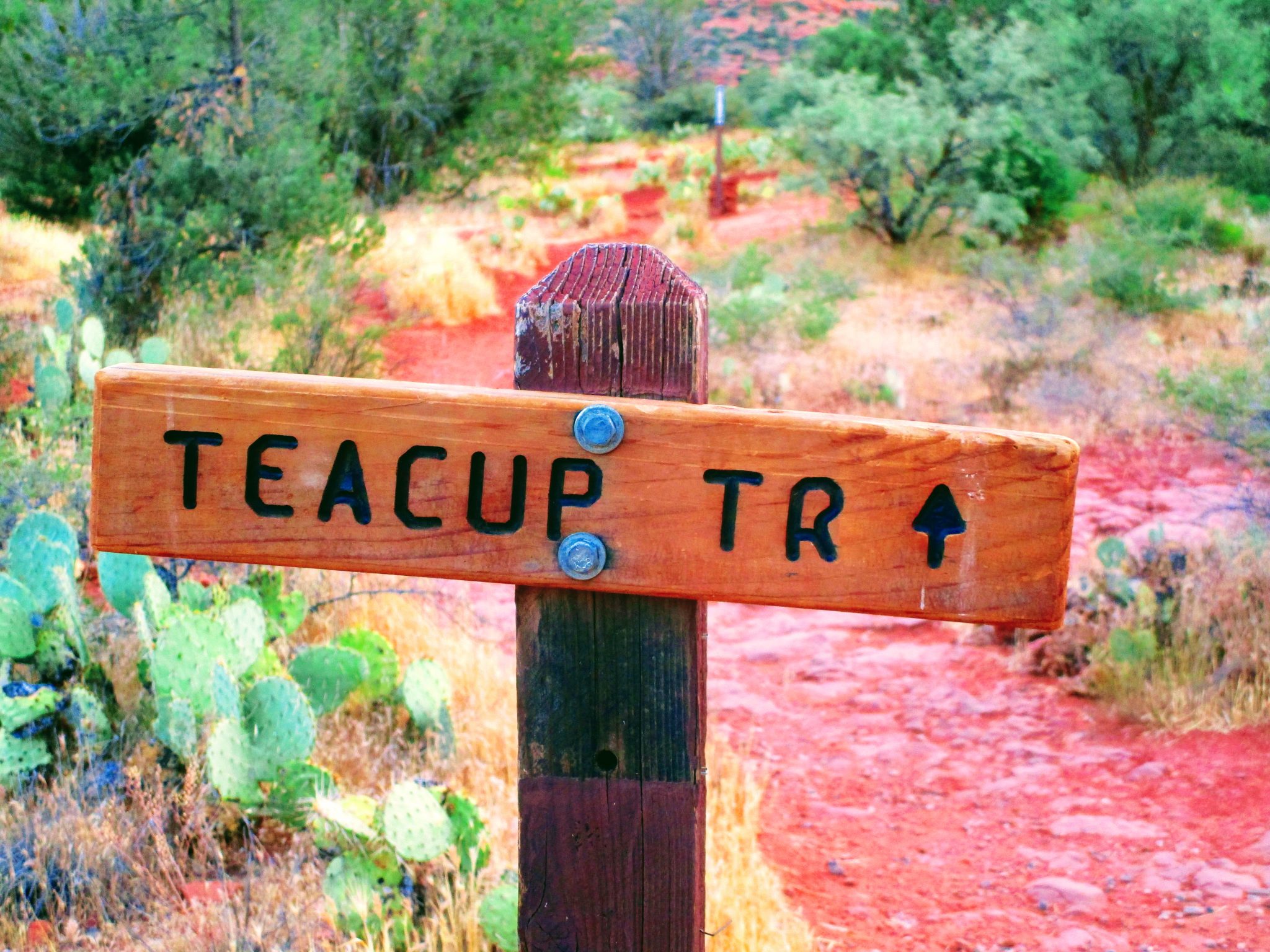 Tea Cup Trail is a secret path to Soldiers Pass in Sedona - Explore ...